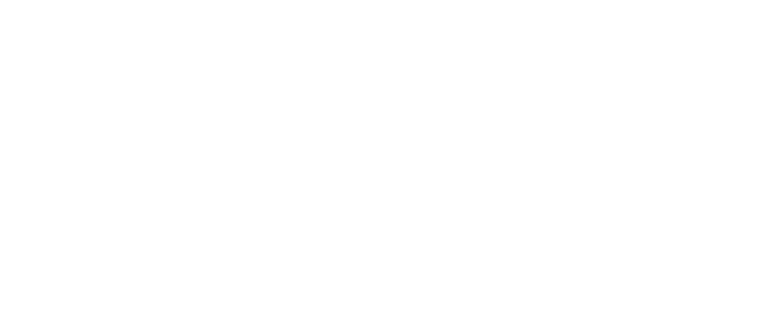 About Us - PeopleConnect